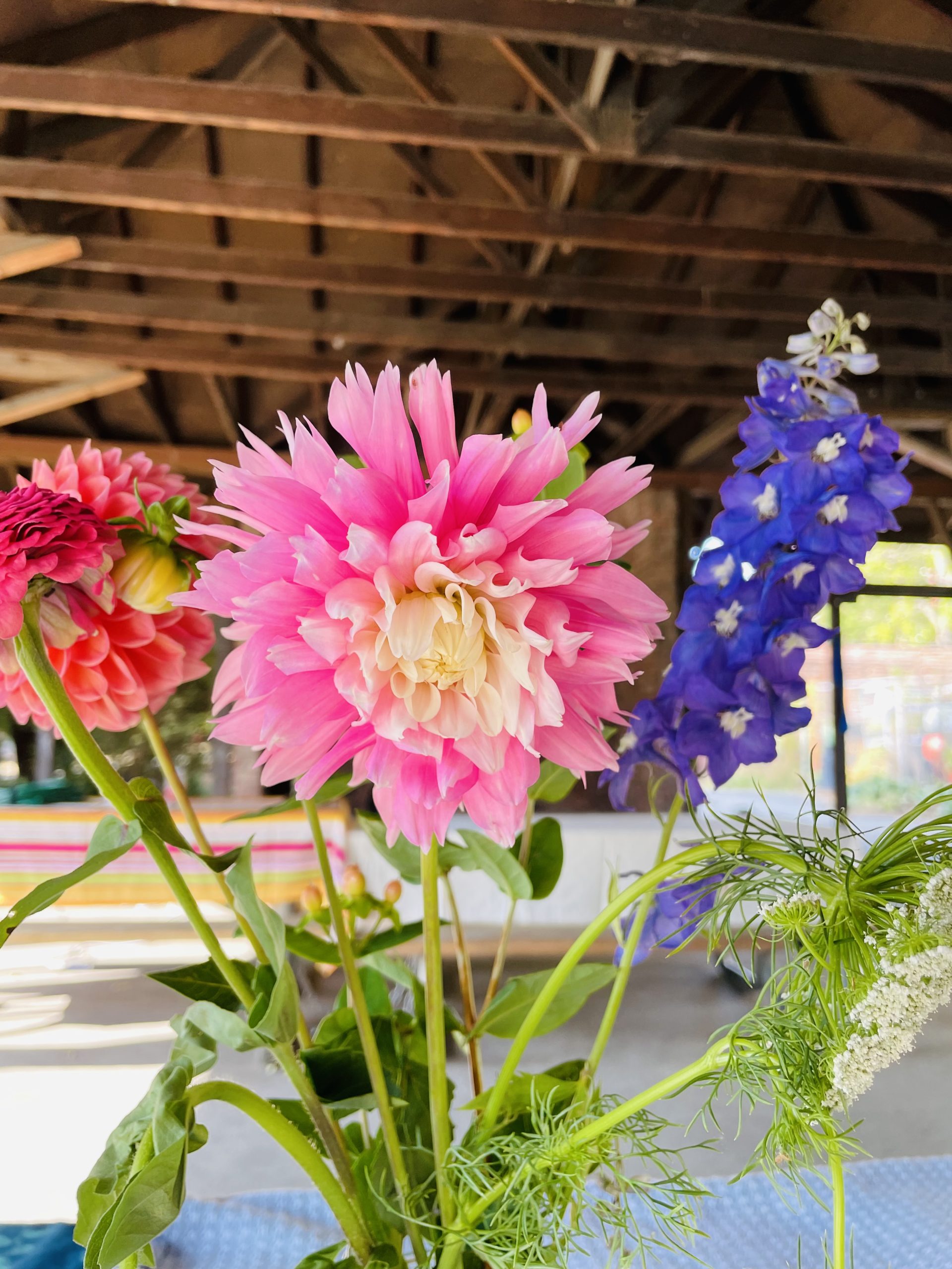 Thanks for coming to our Food Justice Picnic! - Community Alliance for ...