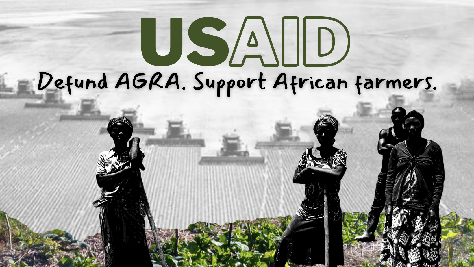 FOR IMMEDIATE RELEASE-USAID and Congress: Stop funding industrial ...