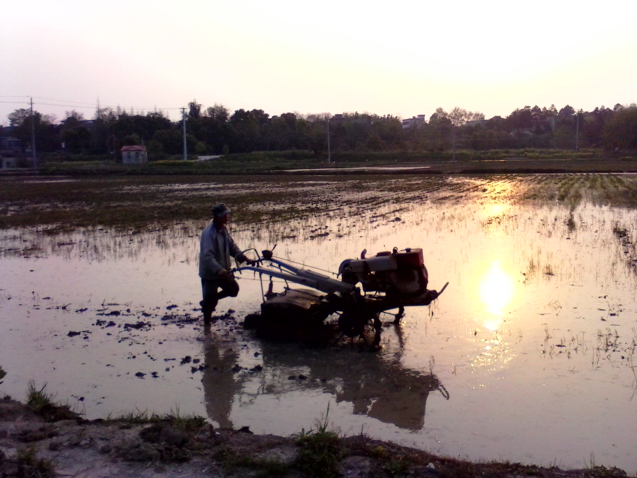 Let’s Stop Celebrating the Demise of China’s Small-scale Farms ...